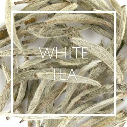 اسانس خوشبو کننده هوا چای سفید (White Tea) - آرورایحه